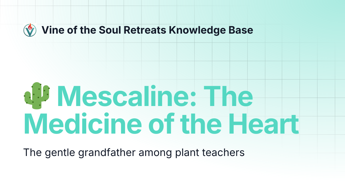 🌵 Mescaline: The Medicine of the Heart | Vine of the Soul Retreats ...